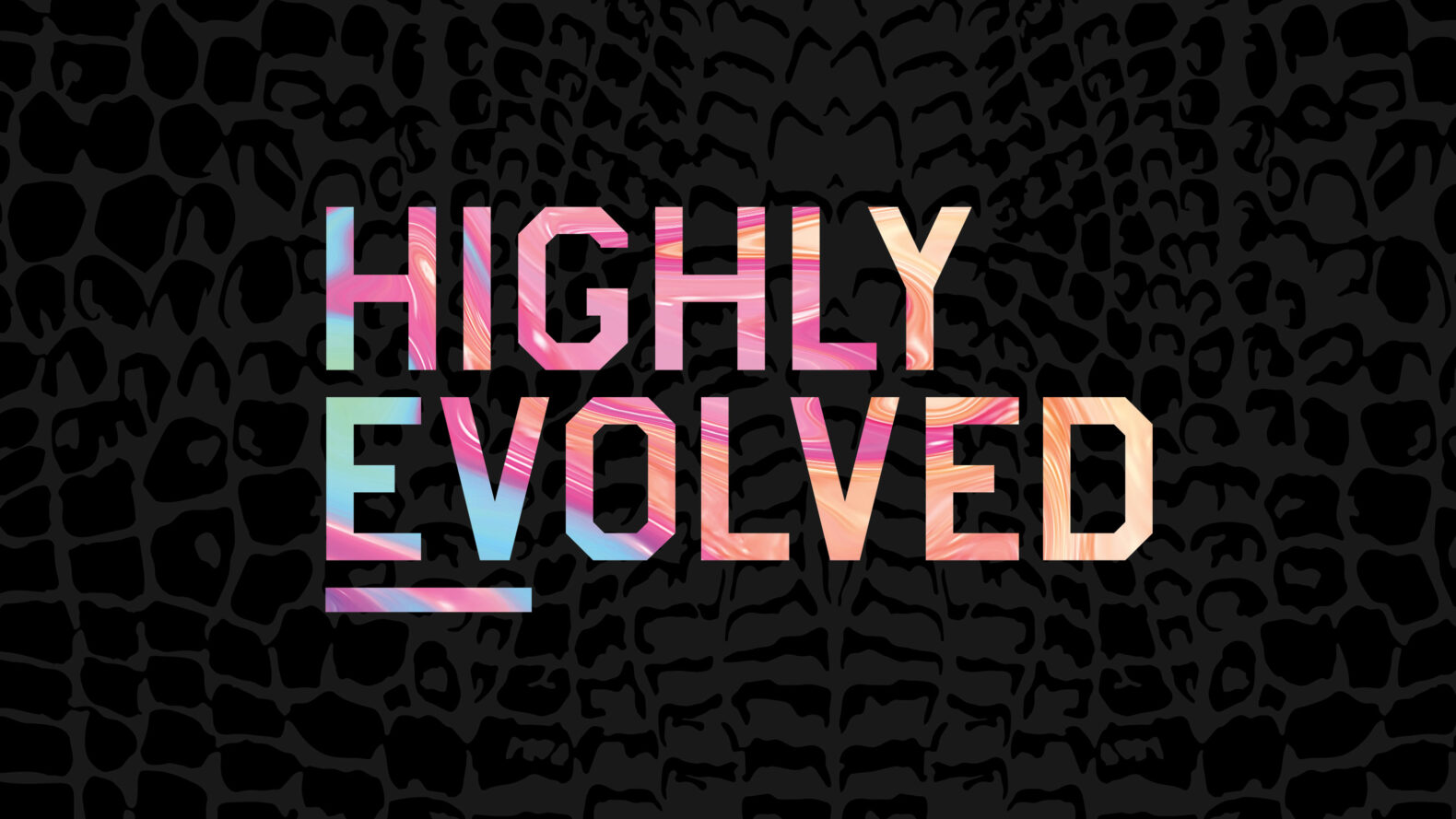 EV Education Campaign - Pivot Brands